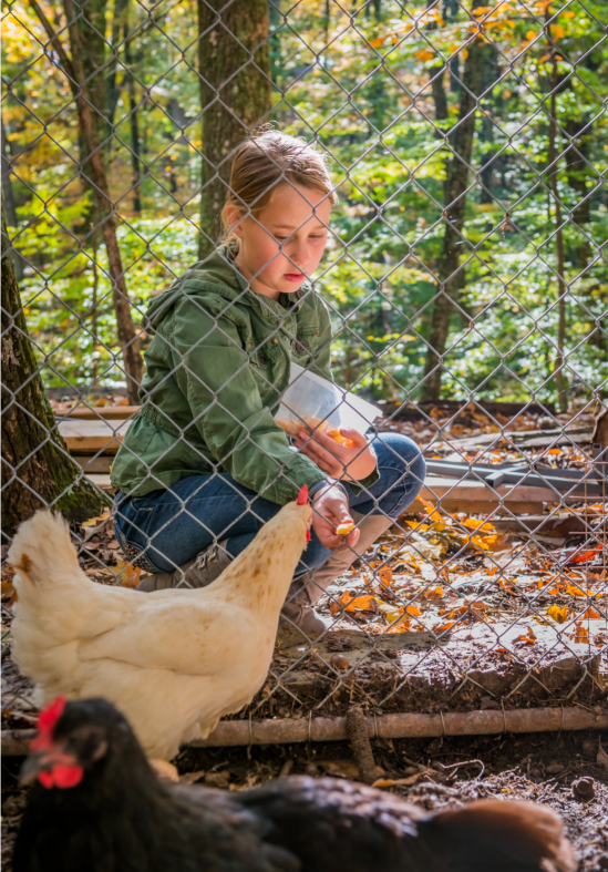 Ways to Show Your Flock Love – Flockjourney