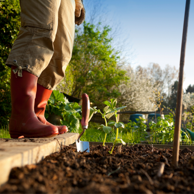 Garden Prep Before Planting – Flockjourney