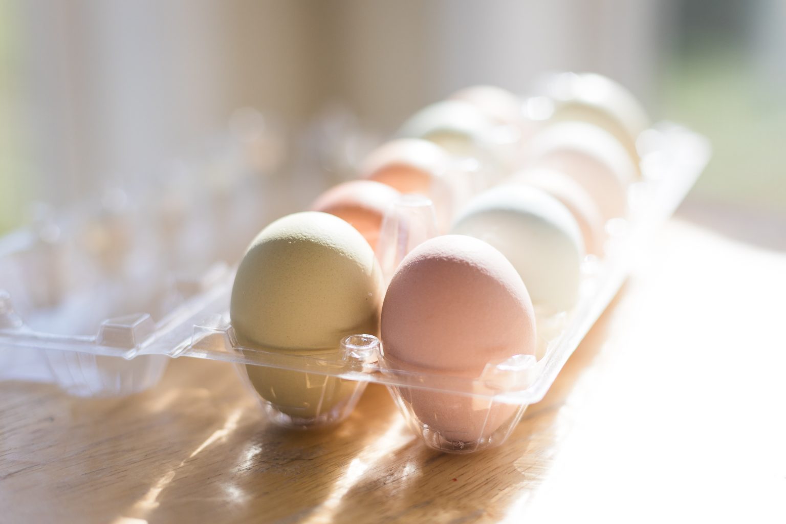 Tips for Sharing Eggs - Flockjourney